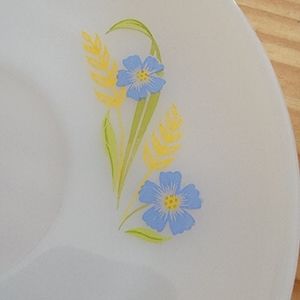 Fire King | Dining | Fire King Blue Gold Floral Pattern 5 Saucers ...